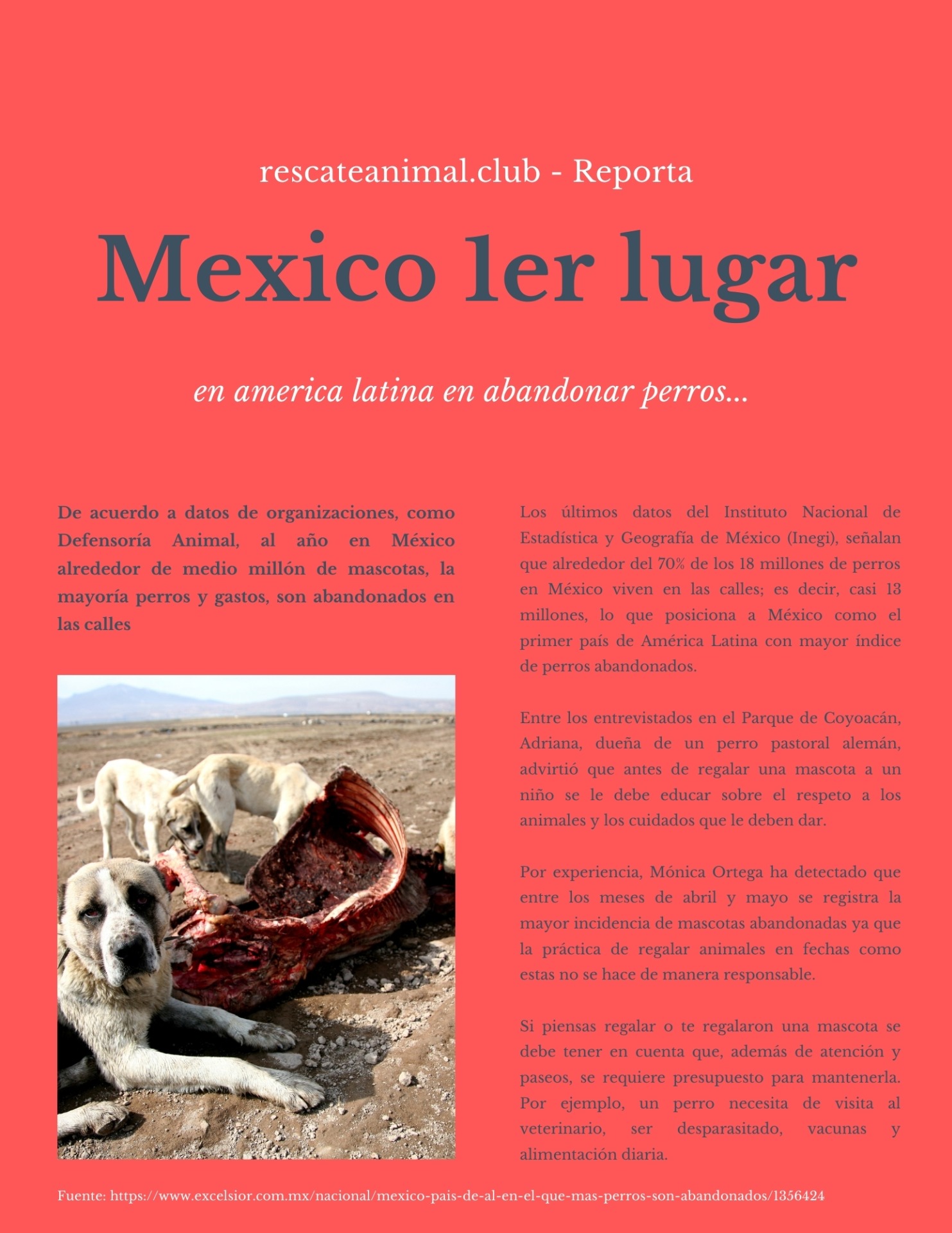 SOS Rescate Animal MX